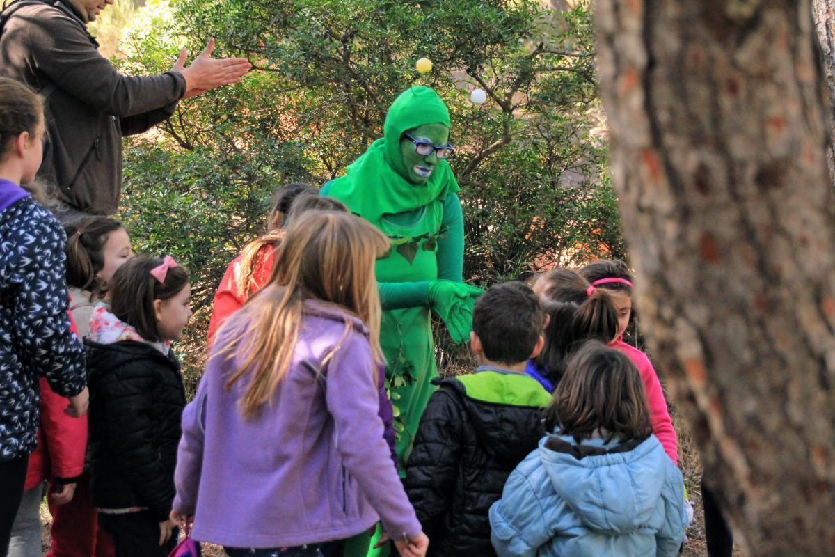 Descubre la planta mágica de Sángana - Experiencias CV - Comunitat ...