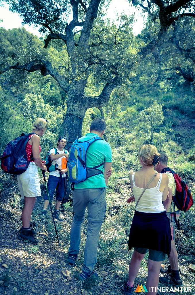 La selva mediterránea más salvaje - Experiencias CV - Comunitat Valenciana