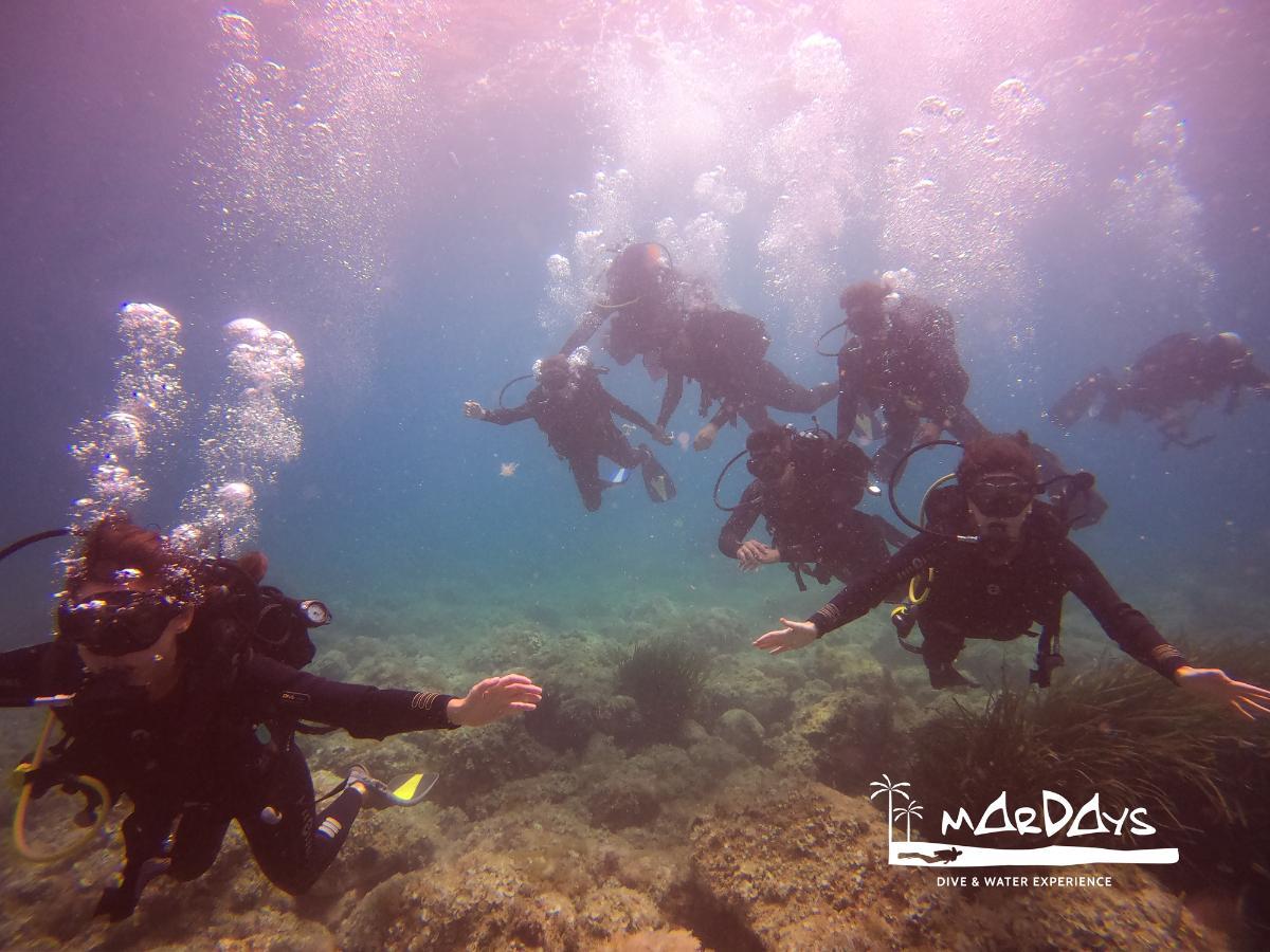Bautismo de buceo - try dive - Experiencias CV - Comunitat Valenciana